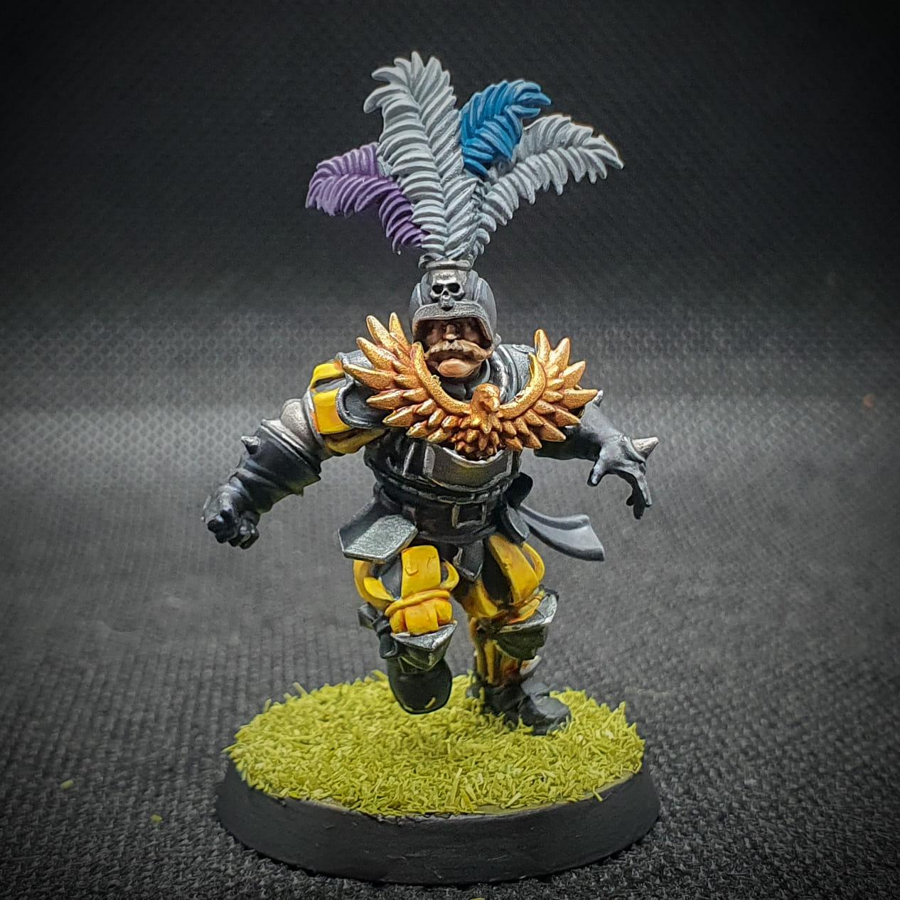 Princes of Parravon – Blood Bowl Team Colour Scheme Feedback – General ...